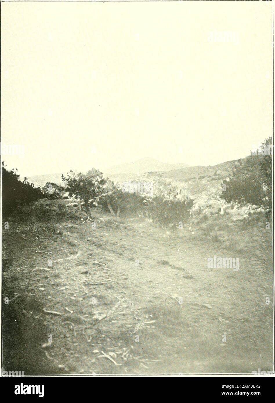 Etudes de lépidoptérologie comparée . Exploration de Harold Powell en ...