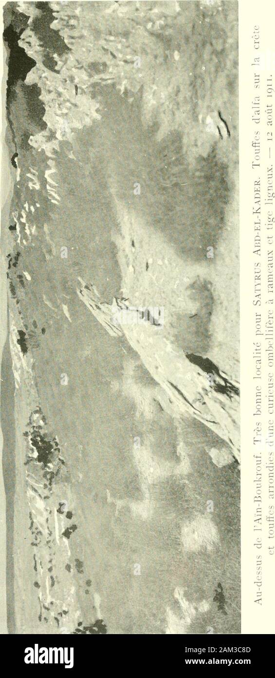 Etudes de lépidoptérologie comparée . O !> ii ^ ^ S. Exploration de ...