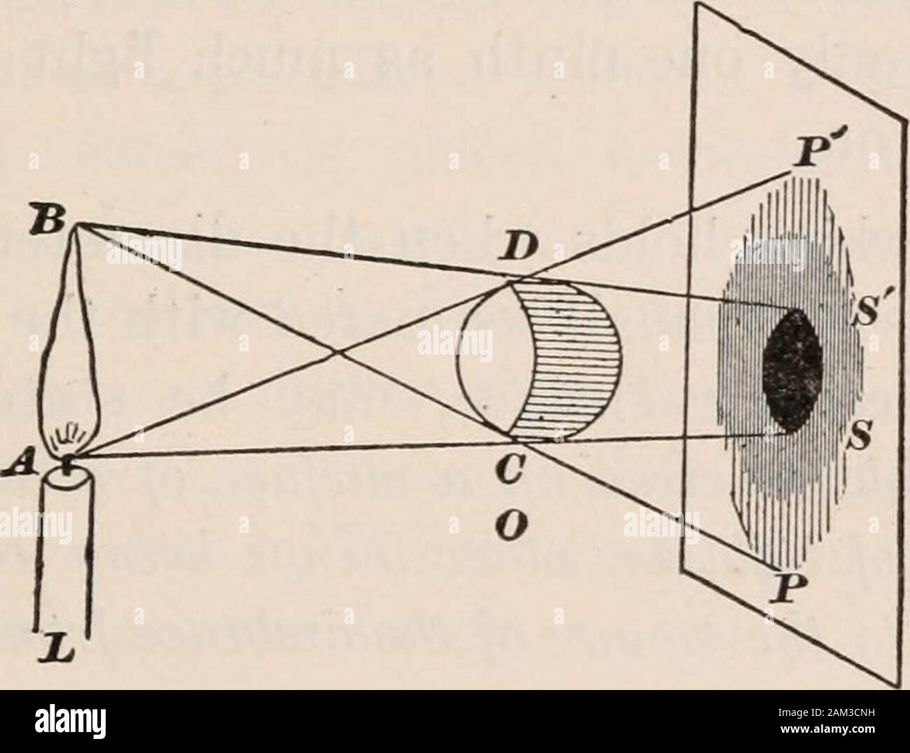 Perfect cone shape hi-res stock photography and images - Alamy