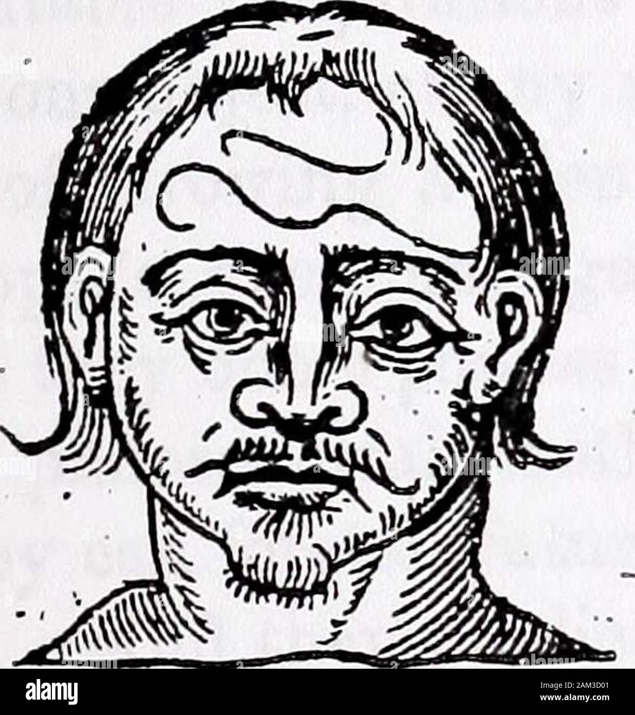 Nofe hi-res stock photography and images - Alamy