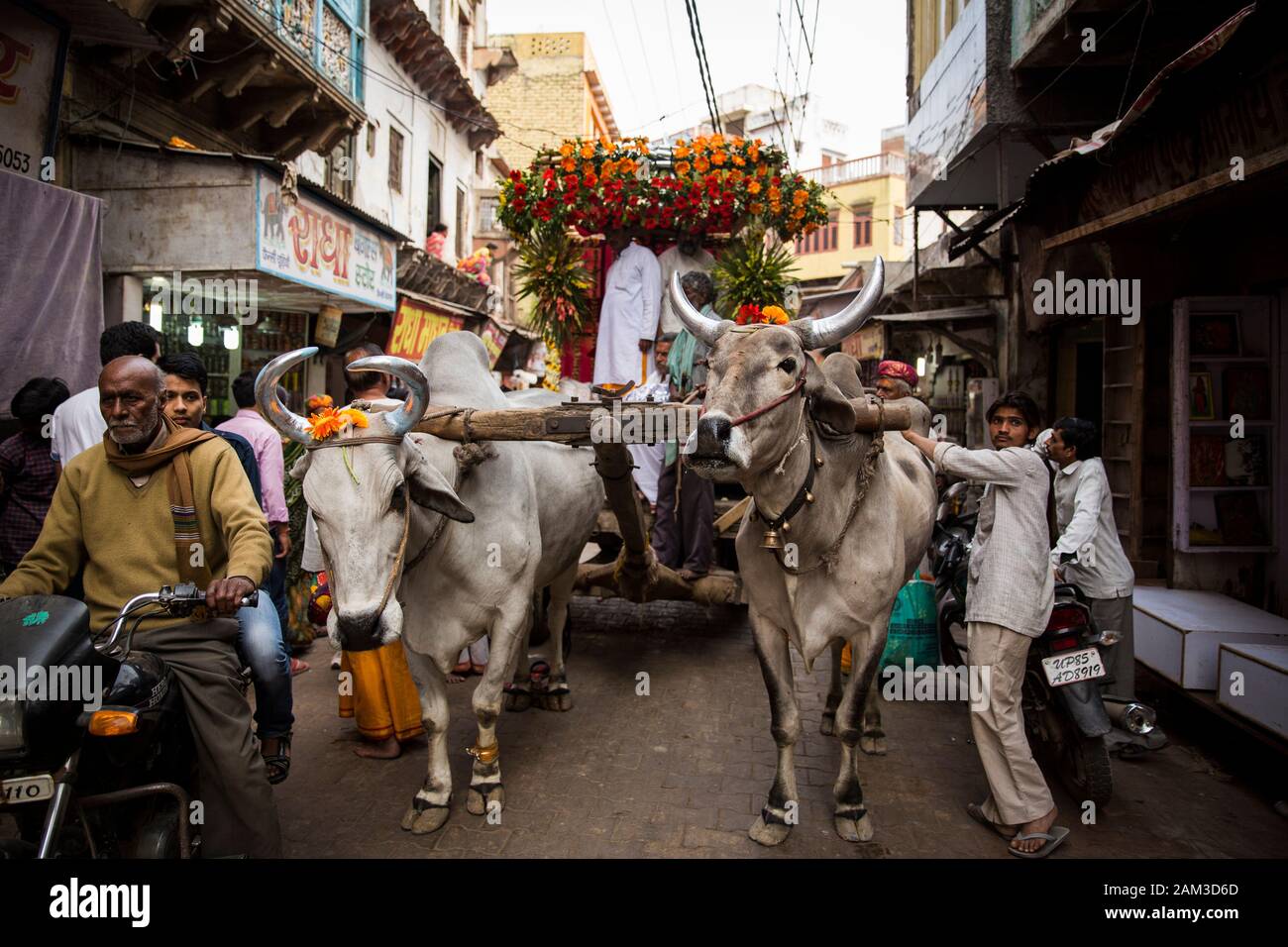 Carriage procession during Holi festival in Mathura. India Stock Photo ...