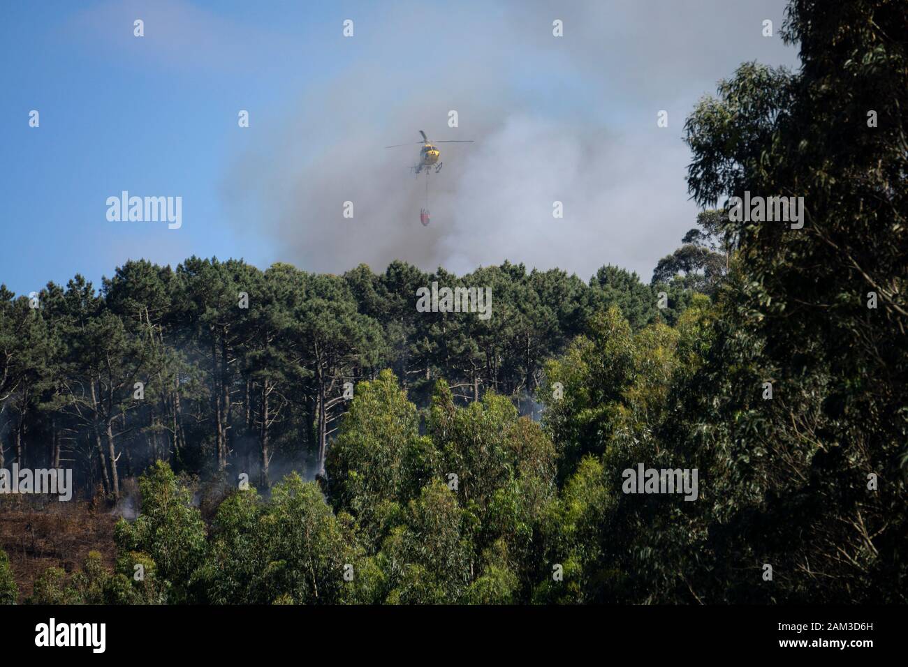 Yellow firefighters helicopter fighting the forest fire in Astoria ...