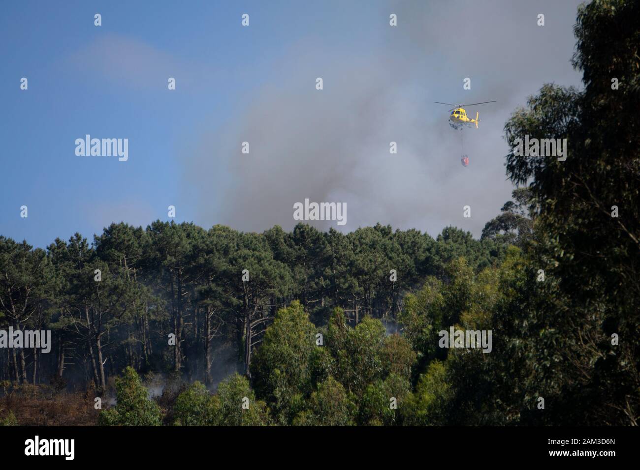 Yellow firefighters helicopter fighting the forest fire in Astoria ...