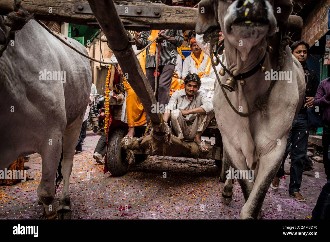 Carriage procession during Holi festival in Mathura. India Stock Photo ...