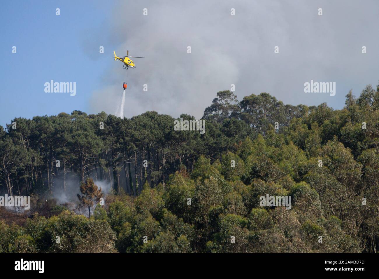 Yellow firefighters helicopter fighting the forest fire in Astoria ...