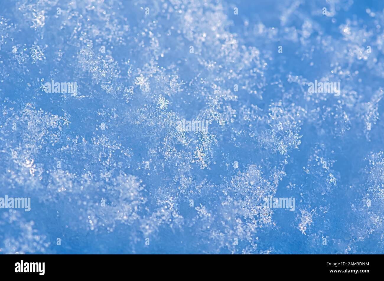 Lots of beautiful winter snowflakes in the sun. background Stock Photo ...