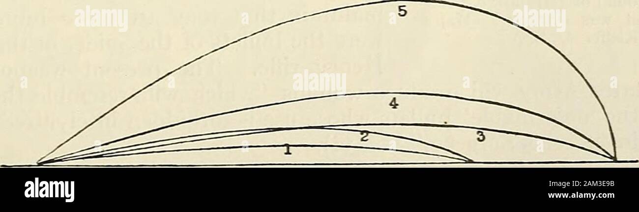 Modern surgery, general and operative . A B D Fig. 127.—^Trajectory ...