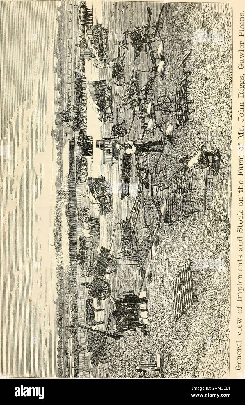 Mallee timber hi-res stock photography and images - Alamy