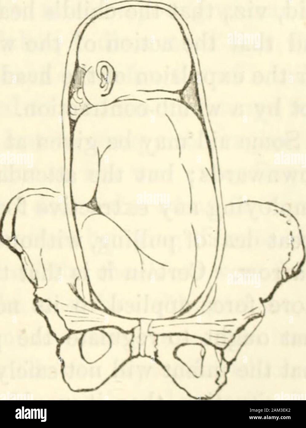 Pelvis rotation hi-res stock photography and images - Alamy