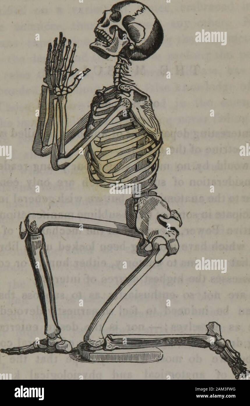 Anatomy Malformation High Resolution Stock Photography and Images - Alamy