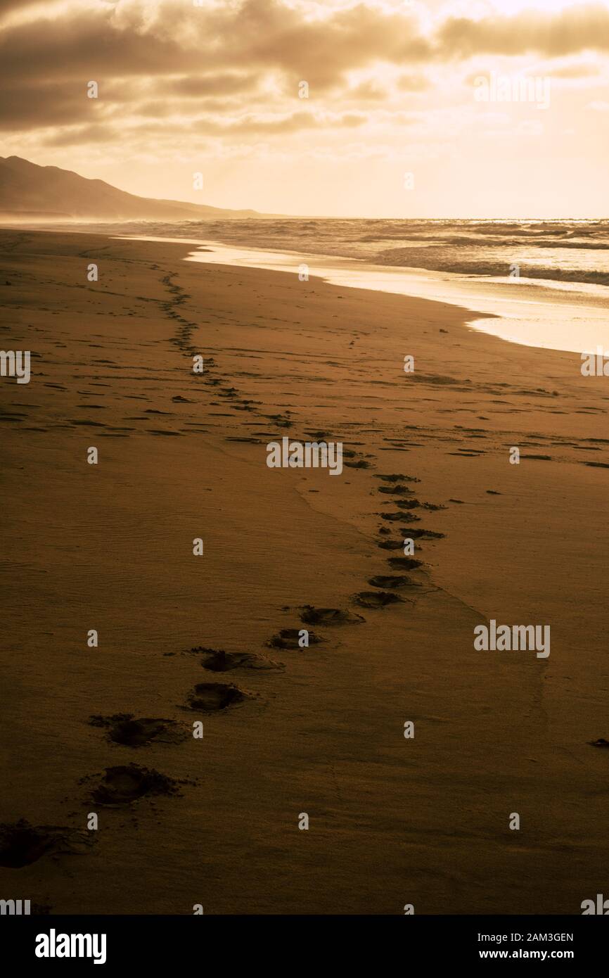 Awesome footprint and sun light beautiful nature landscape on the ...