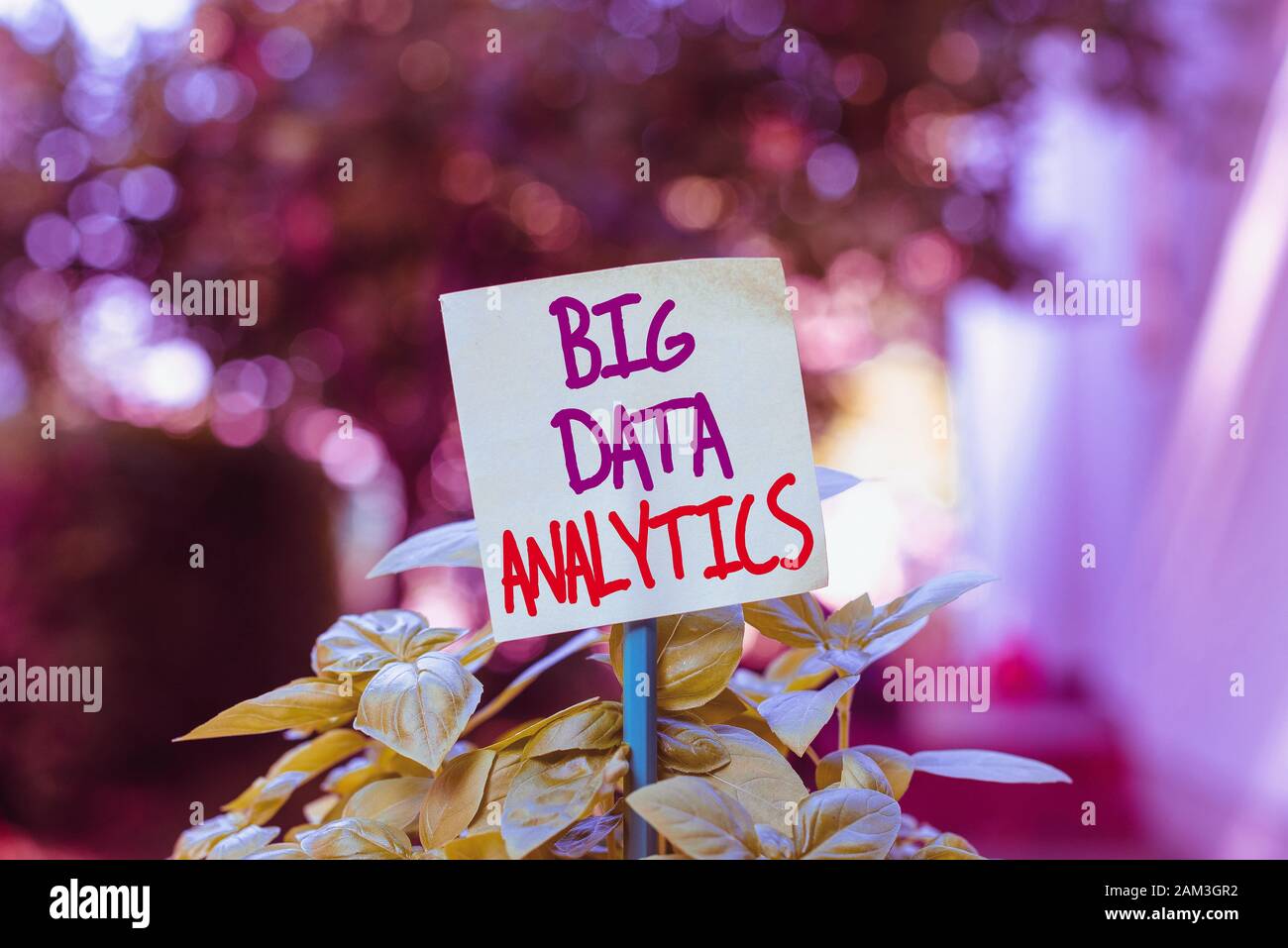 Handwriting text writing Big Data Analytics. Conceptual photo The process of examining large and ...