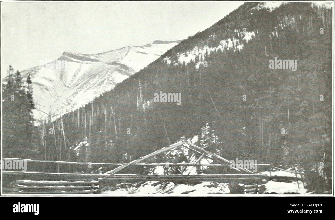 Sessional papers of the Dominion of Canada 1914 . Sheep River Bridge ...