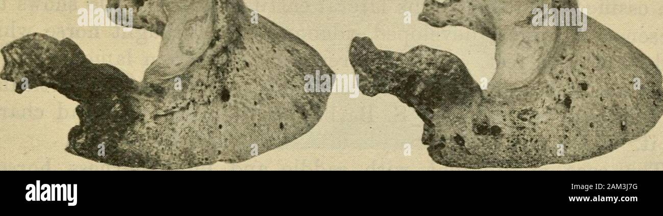 Notonly hi-res stock photography and images - Alamy