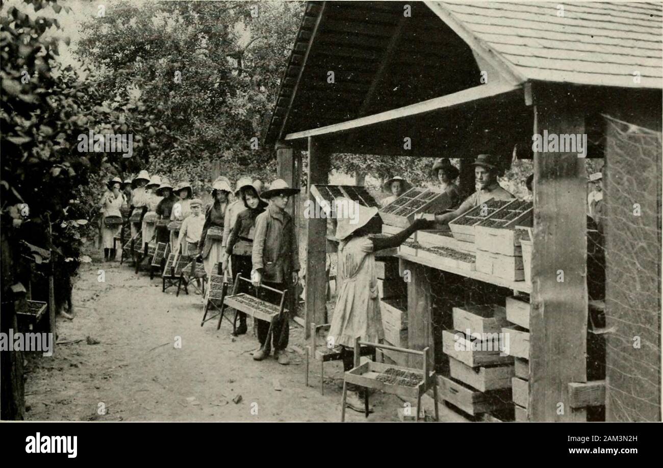 Puget Sound and western Washington; cities--towns--scenery . PUYALLUP ...