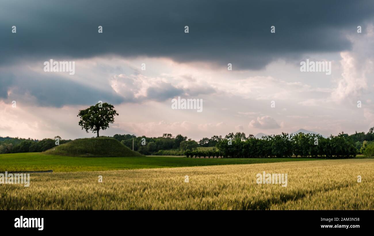 Fields of Friuli Venezia-Giulia in a stormy spring day Stock Photo - Alamy