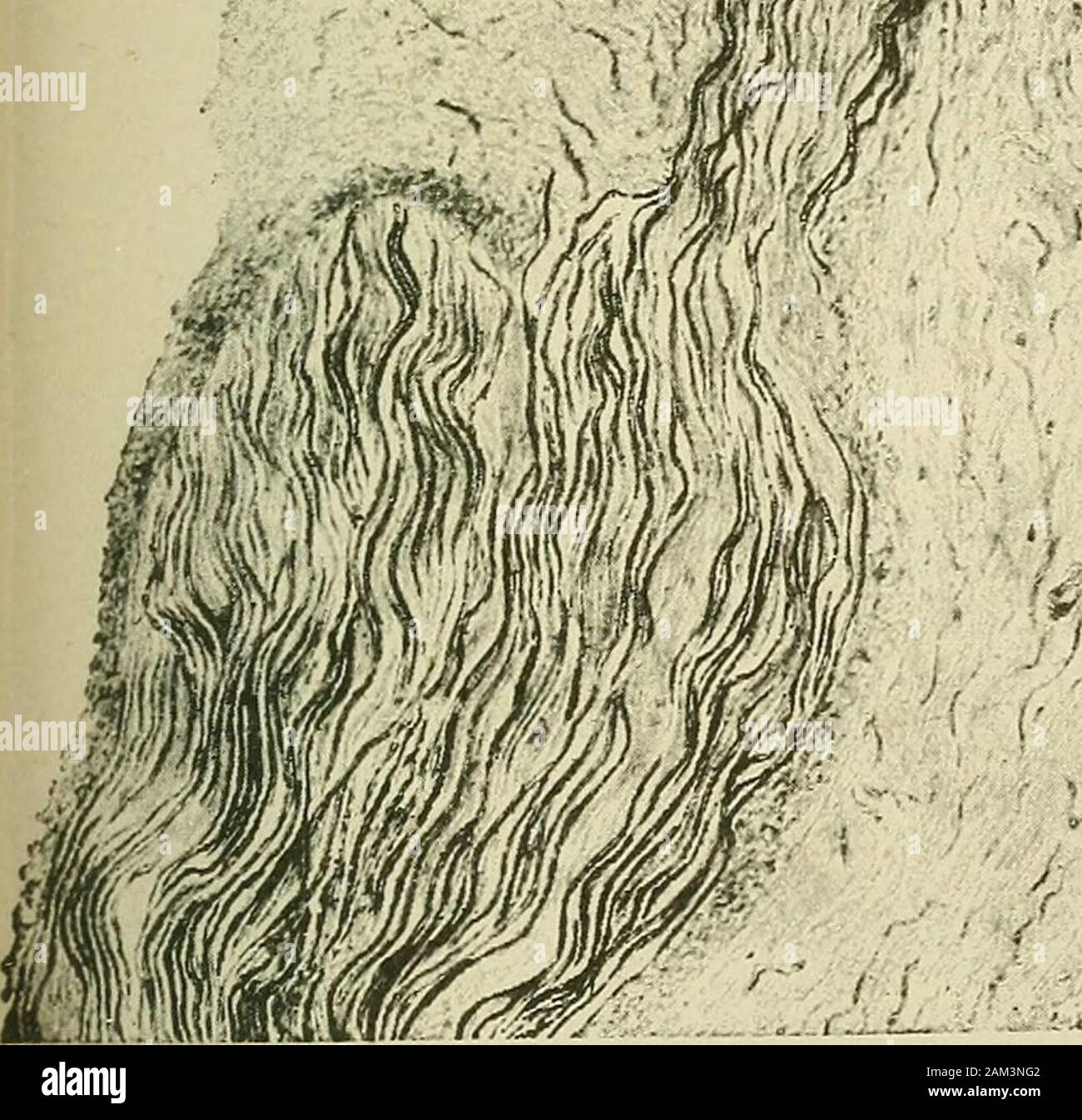 Pierre Outin High Resolution Stock Photography and Images - Alamy