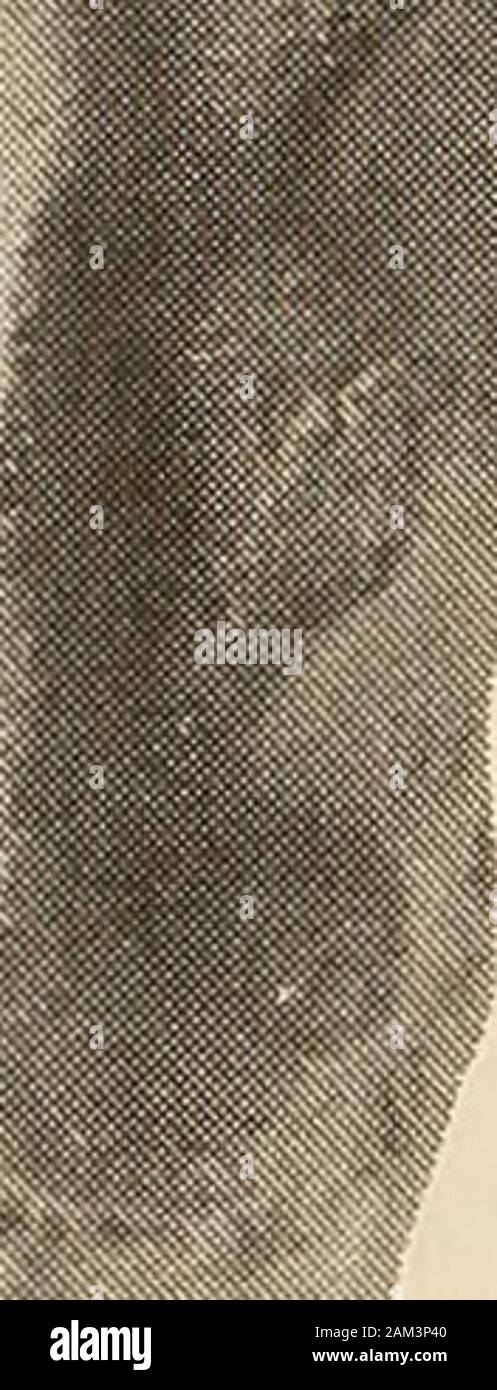 Annals of the South African Museum = Annale van die Suid-Afrikaanse ...