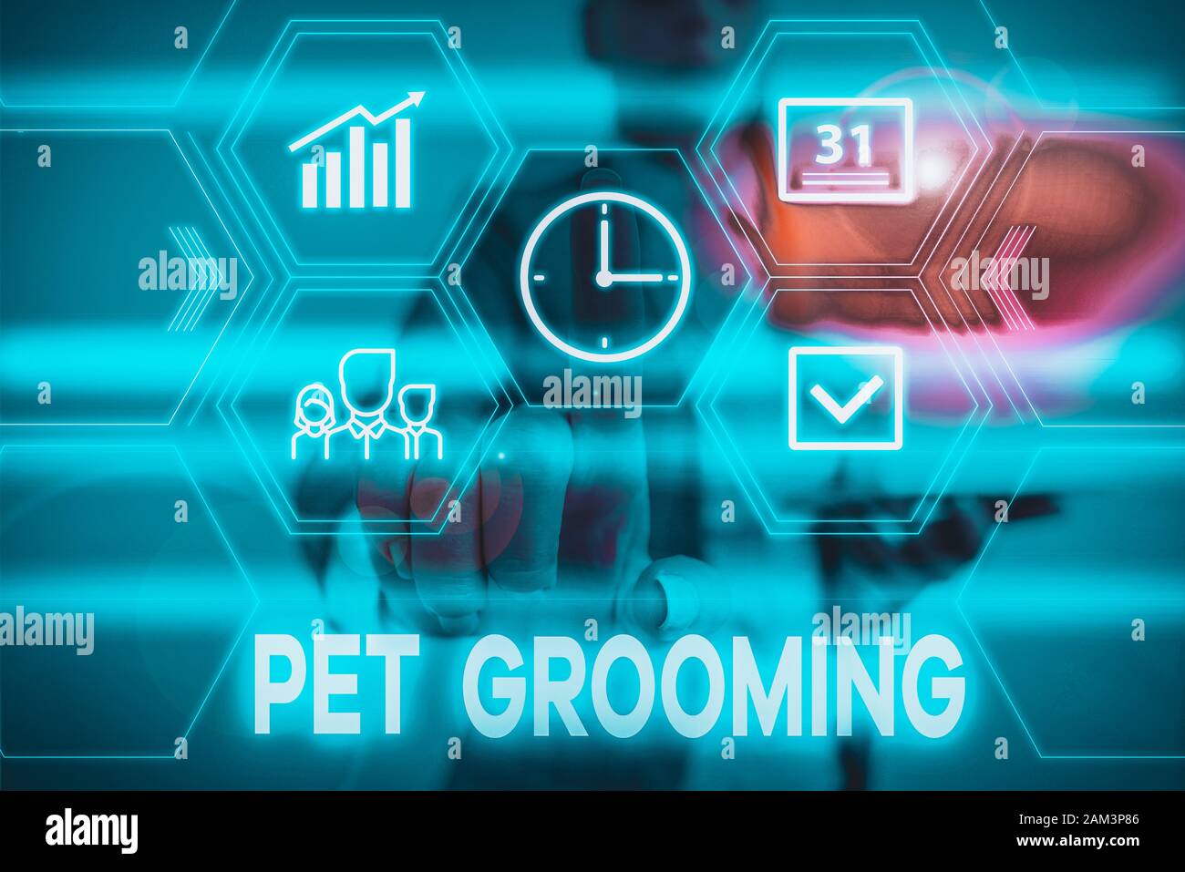 Conceptual hand writing showing Pet Grooming. Concept meaning hygienic ...