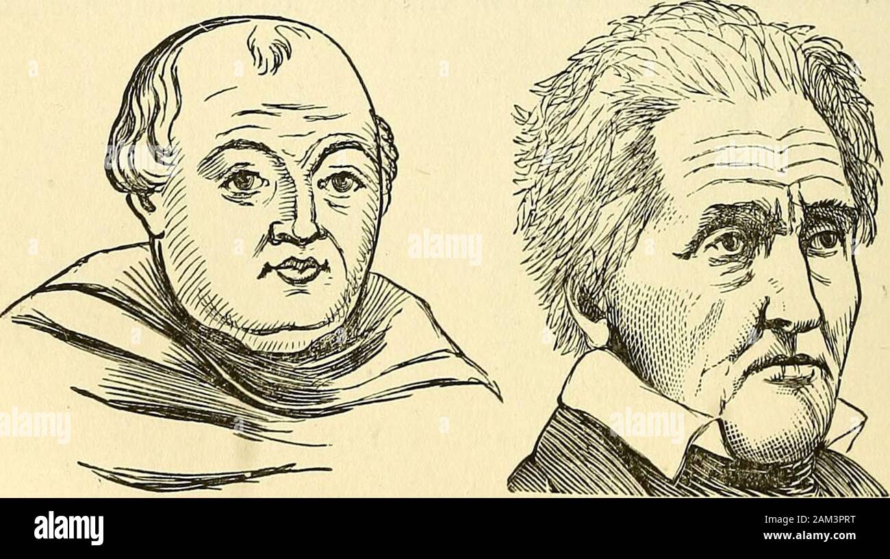 Nature's revelations of character; or, physiognomy illustratedA ...