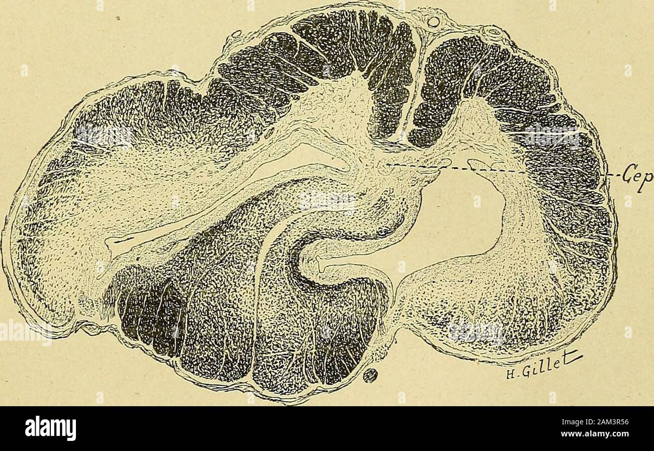 Ligne de coloration hi-res stock photography and images - Alamy