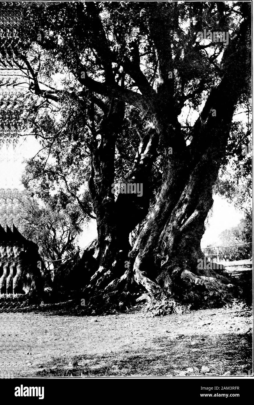 Rome ancient census hi-res stock photography and images - Alamy