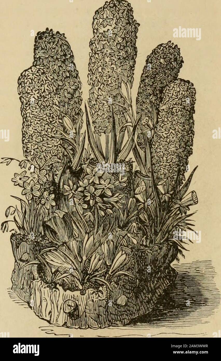 Puny man hi-res stock photography and images - Alamy