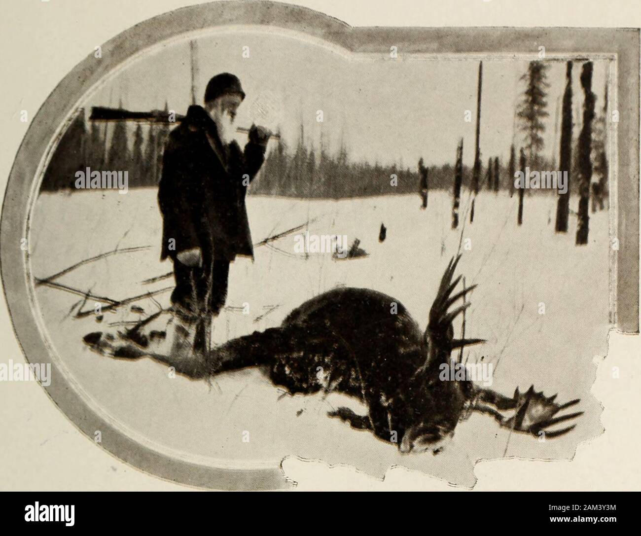 Gray wolf gun hi-res stock photography and images - Alamy