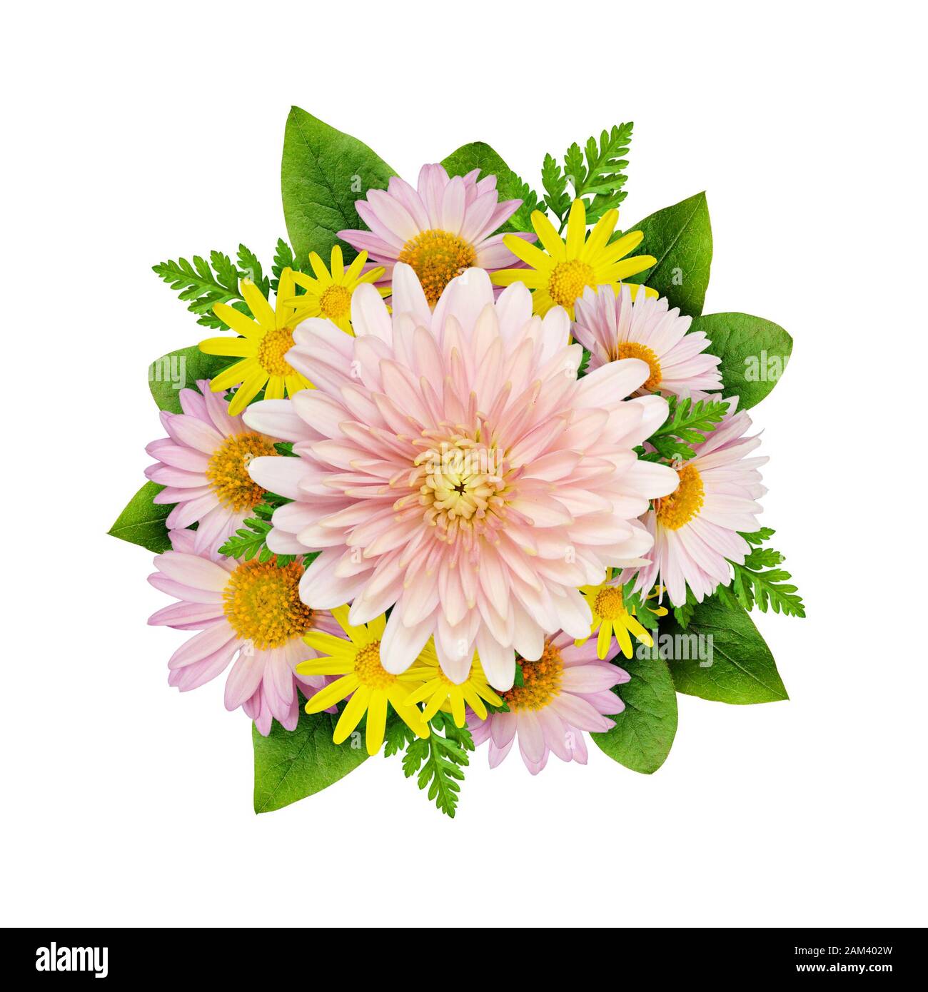 Aster flowers bouquet isolated on white Stock Photo - Alamy