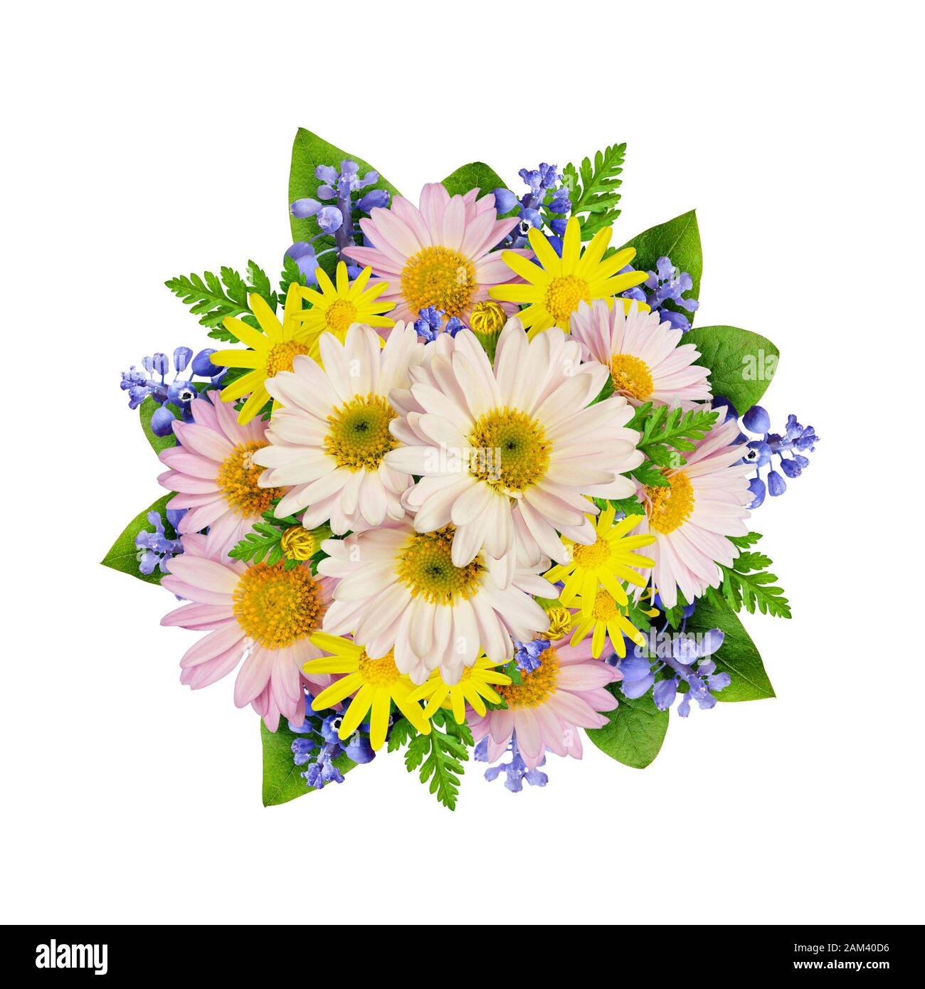 Aster and wild flowers bouquet isolated on white Stock Photo - Alamy