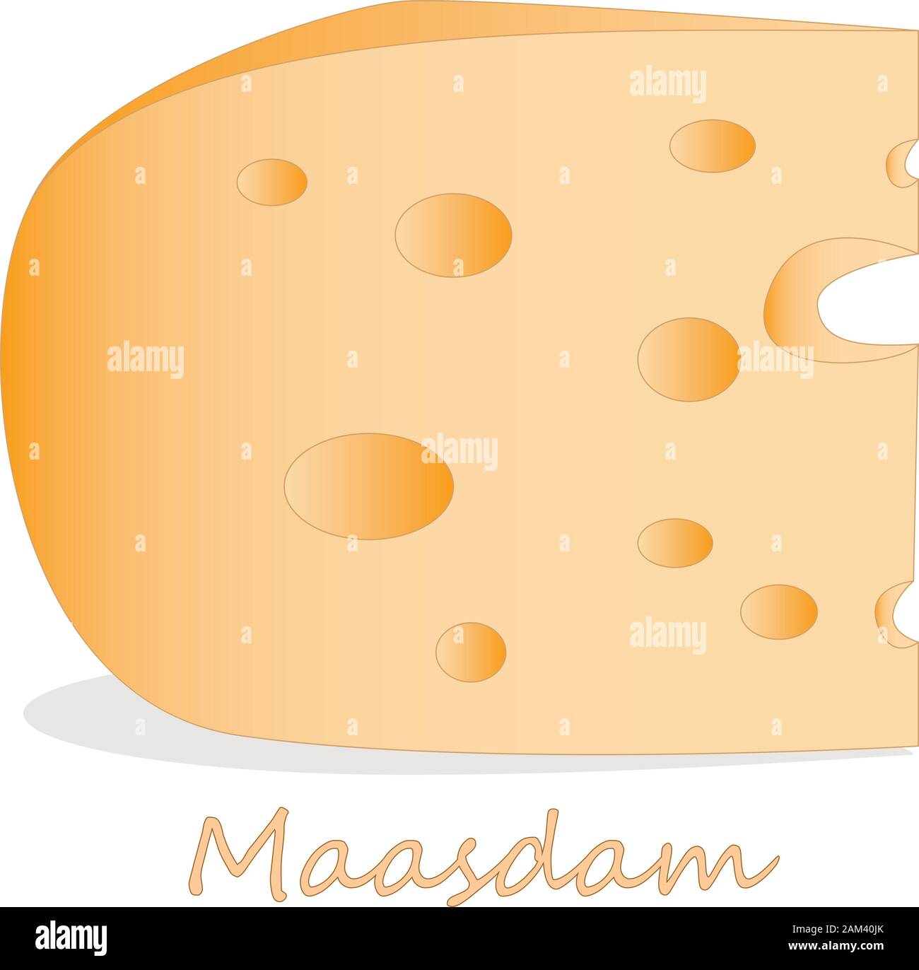 Maasdam cheese. Vector illustration of maasdam cheese isolated on white ...