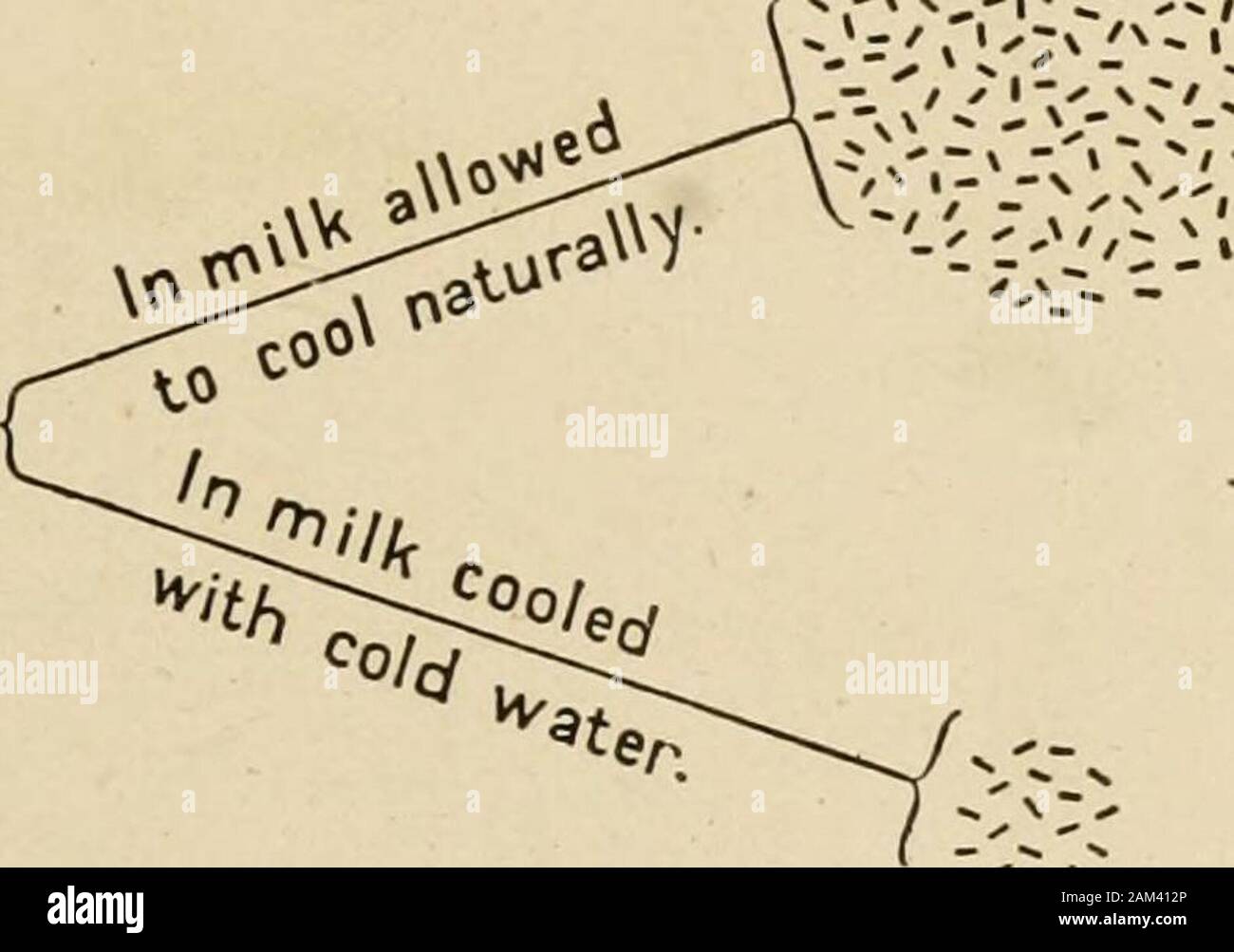 Factory farm cow manure hi-res stock photography and images - Alamy