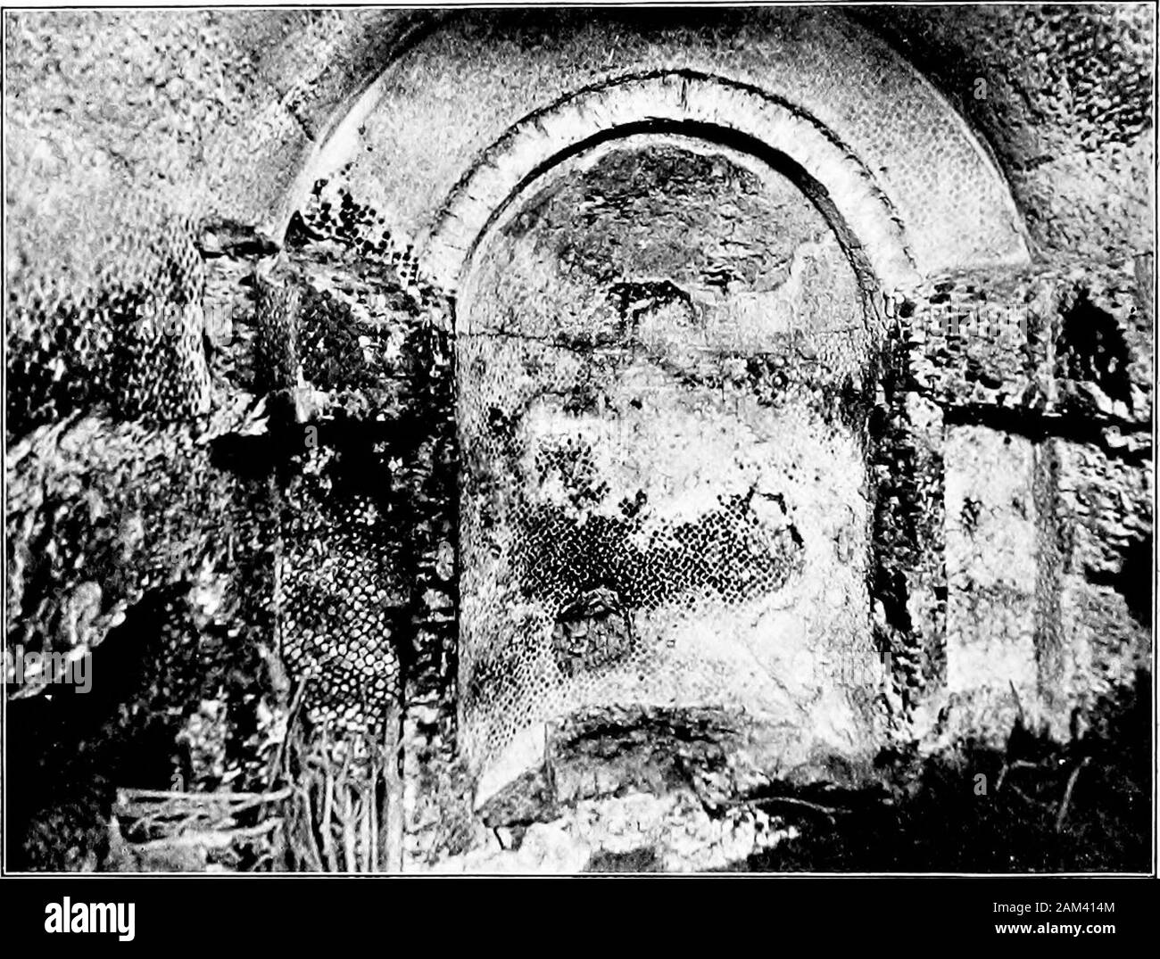 Trigon rome hi-res stock photography and images - Alamy