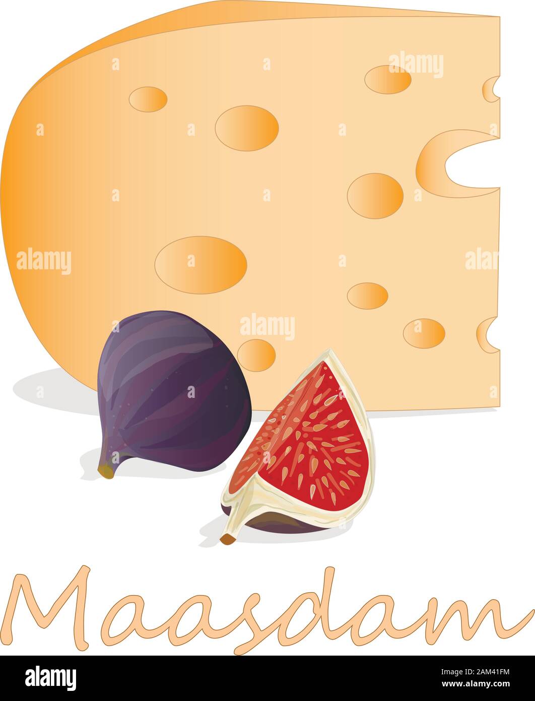 Maasdam cheese. Vector illustration of maasdam cheese isolated on white ...