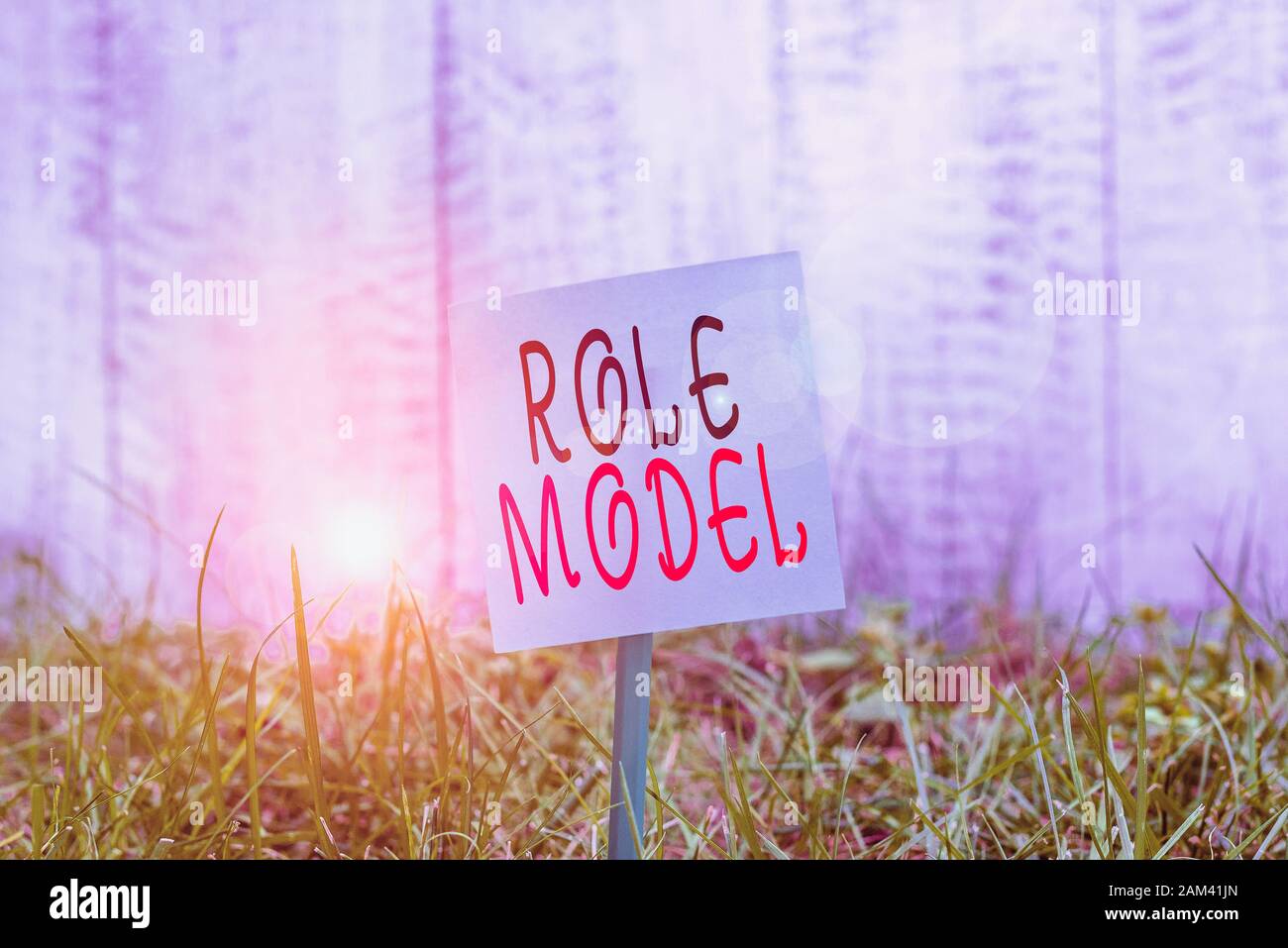 Text sign showing Role Model. Business photo showcasing a demonstrating ...