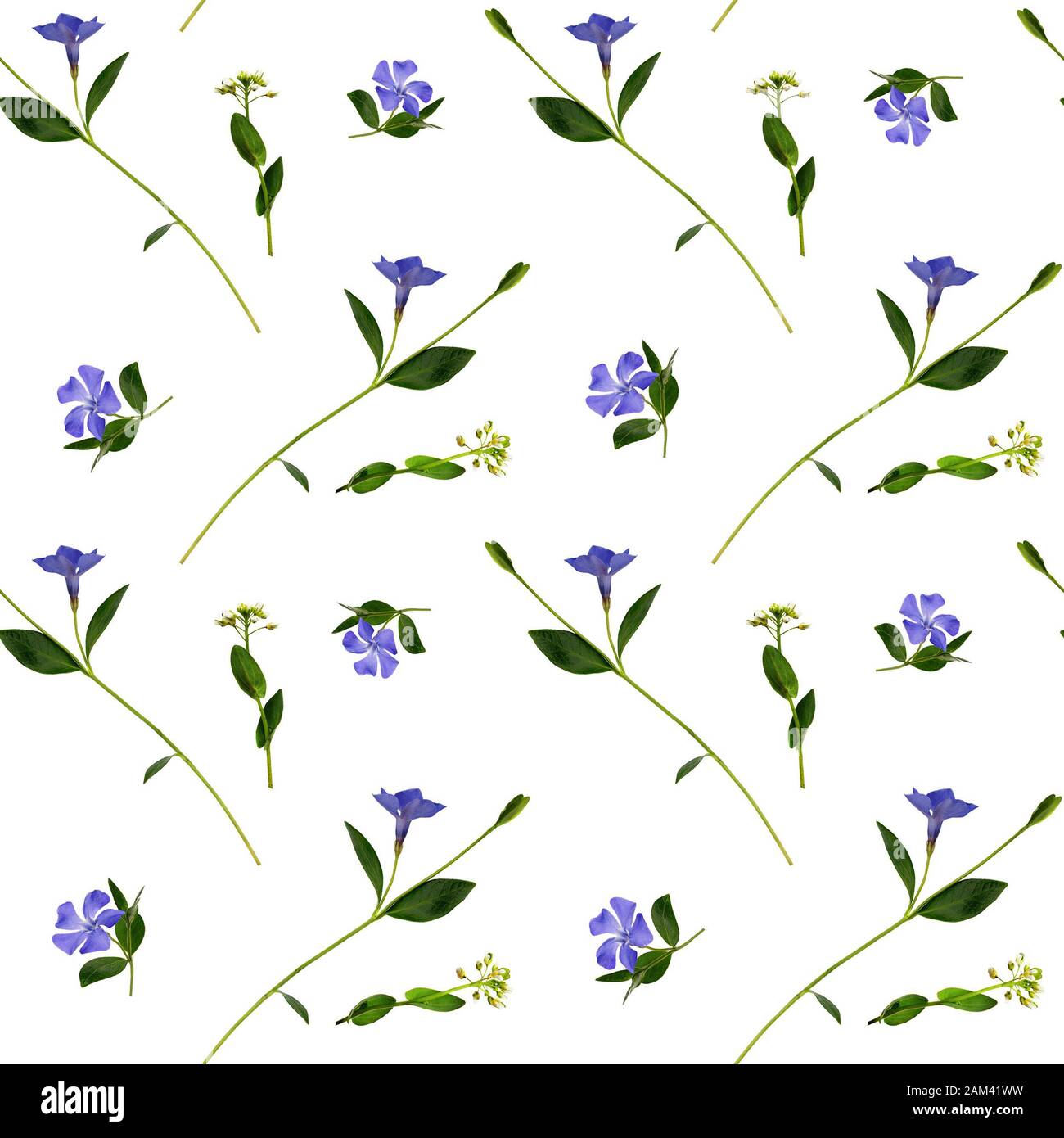 Periwinkle and wild flowers seamless pattern on white background Stock ...