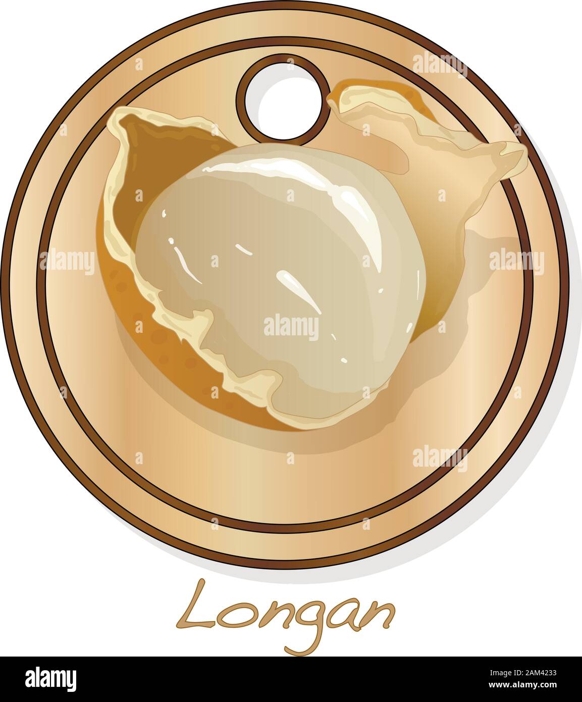 Longan, Dimocarpus longan. Vector illustration of longan berry on the ...