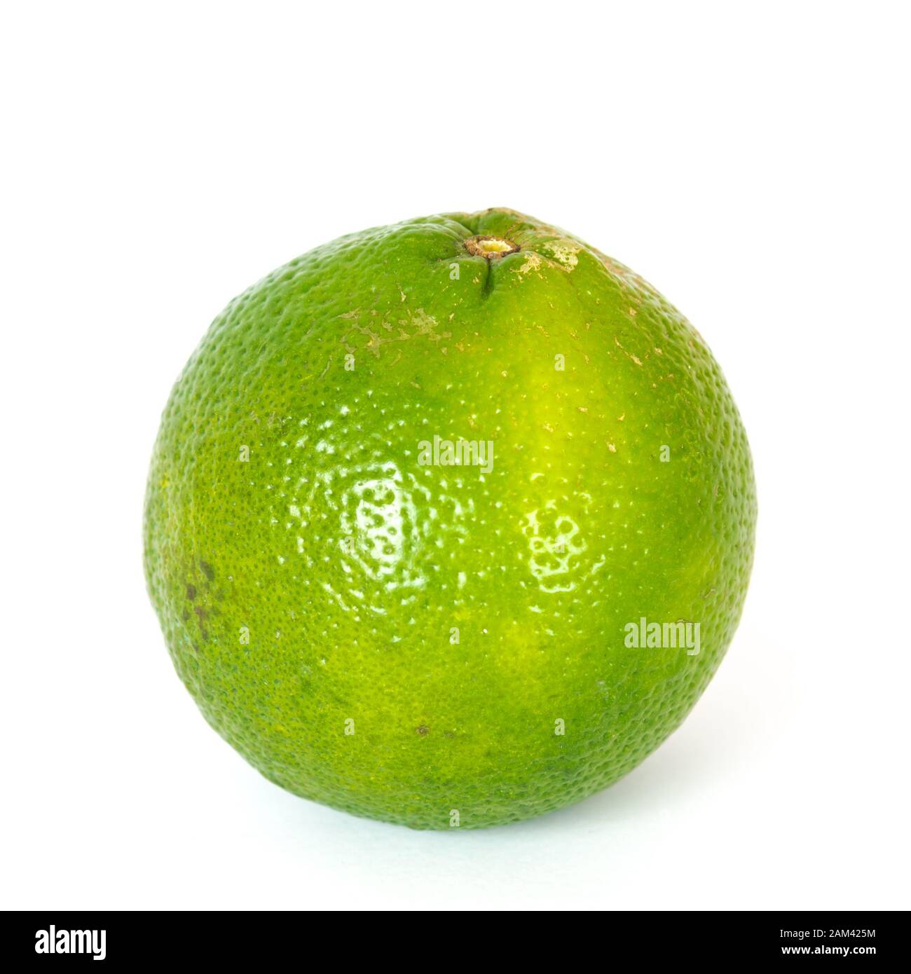 A whole lime isolated Stock Photo - Alamy