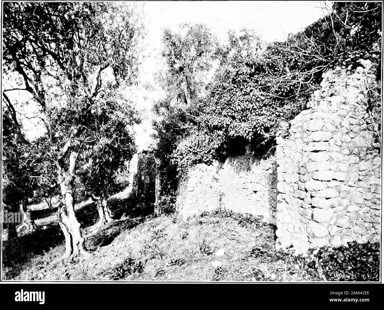 Roman general varus hi-res stock photography and images - Alamy