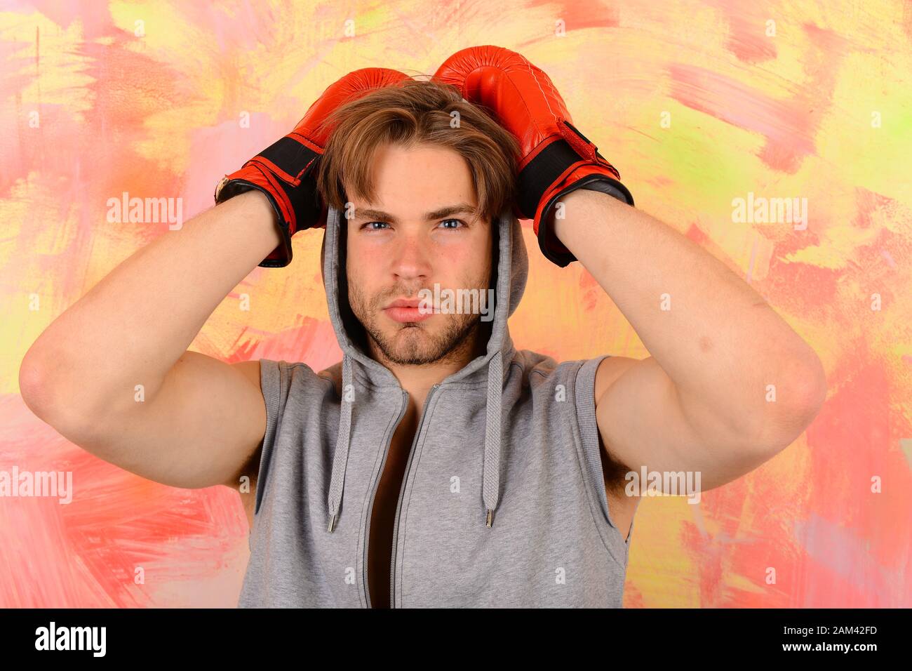 Guy in grey sleeveless hoodie wears red leather boxing gloves. Boxer ...
