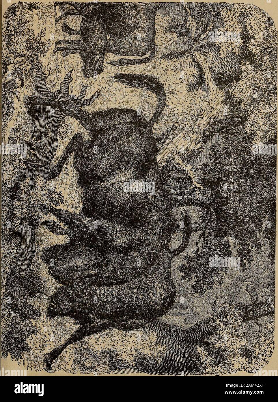 Impossi ble hi-res stock photography and images - Alamy