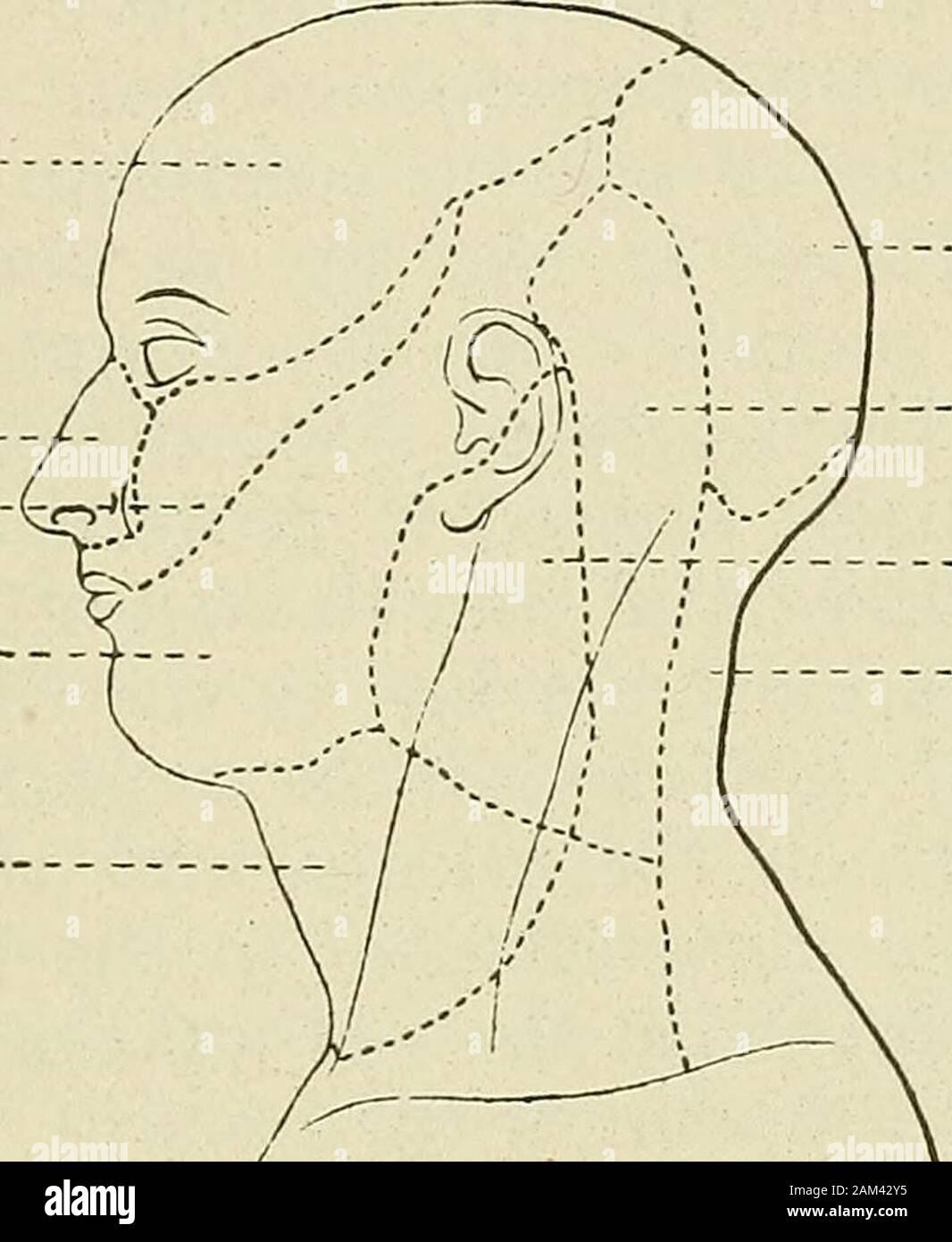 Lower extremity weakness hi-res stock photography and images - Alamy