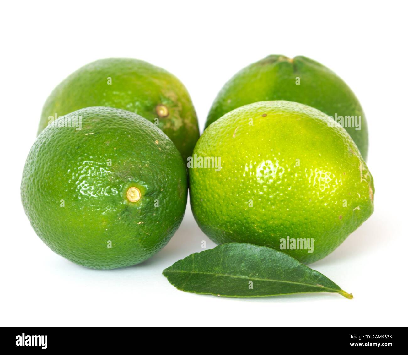 Four limes and leaf isolated on white Stock Photo - Alamy