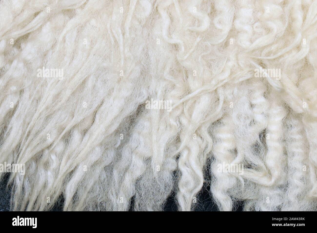 White natural wool material texture pattern background Stock Photo - Alamy