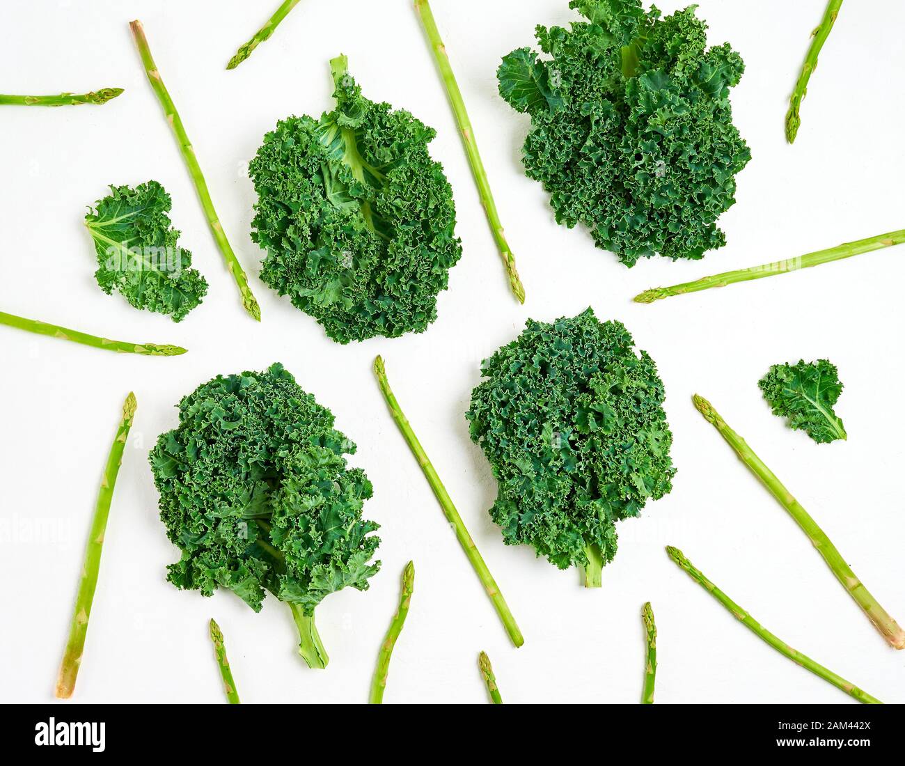 Creative pattern layout made Cut Out Stock Images & Pictures - Alamy