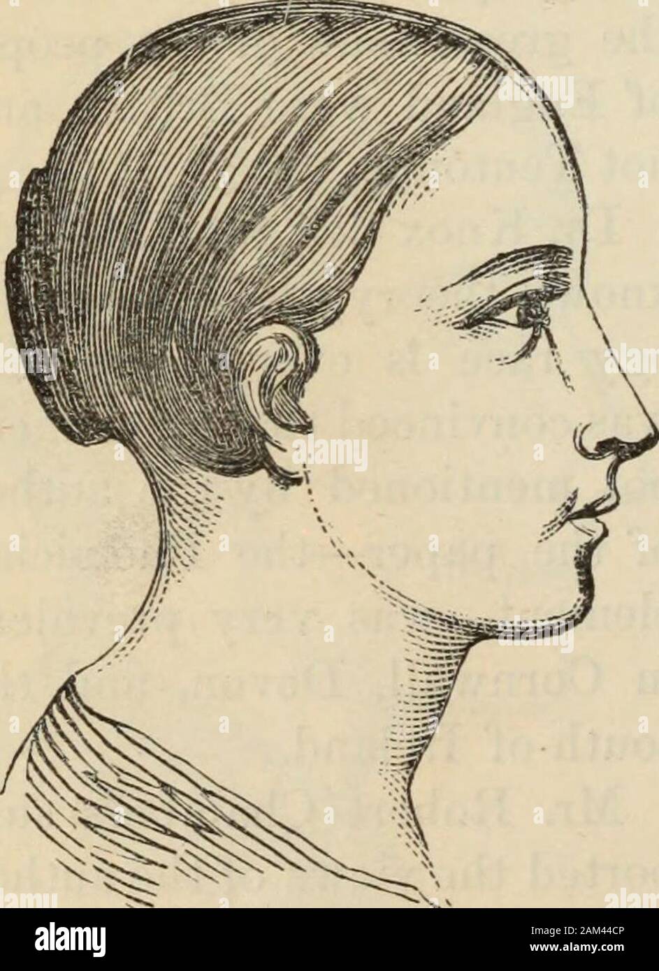 Teutonic tribes hi-res stock photography and images - Alamy