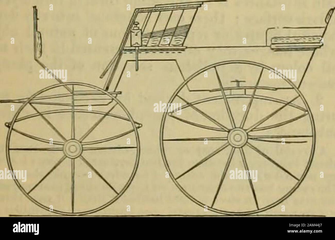 American poli hi-res stock photography and images - Alamy