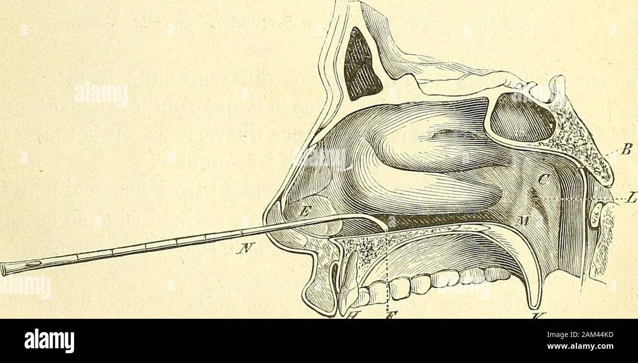 L'audition hi-res stock photography and images - Alamy