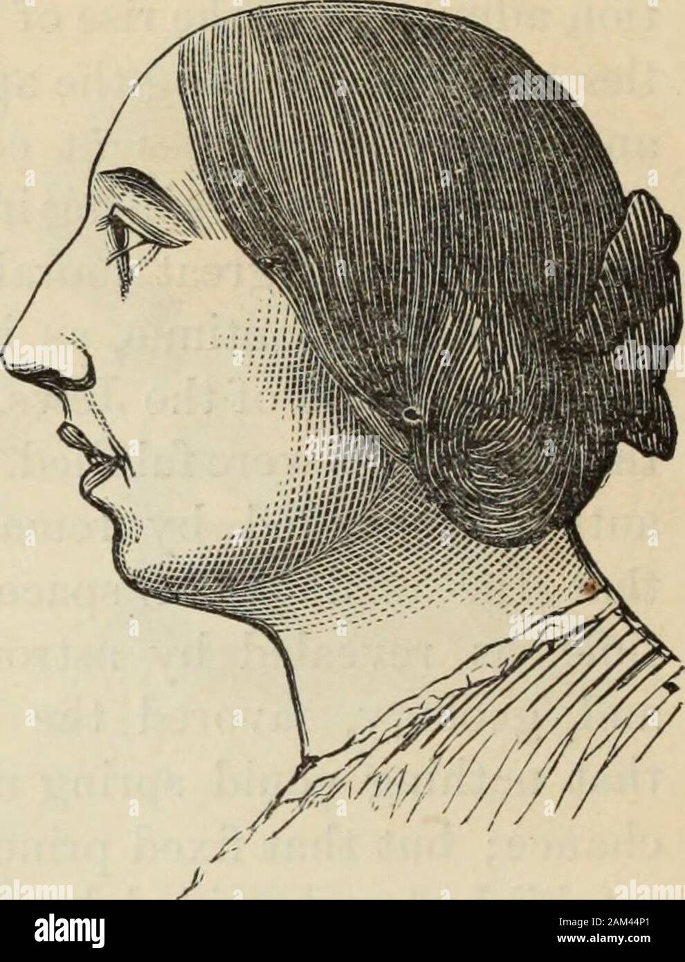 Cautious Face Drawing New Physiognomy : Or Signs Of Character, As