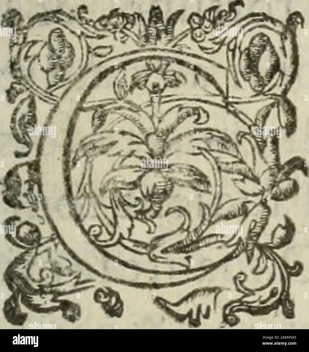 Gai font hi-res stock photography and images - Alamy